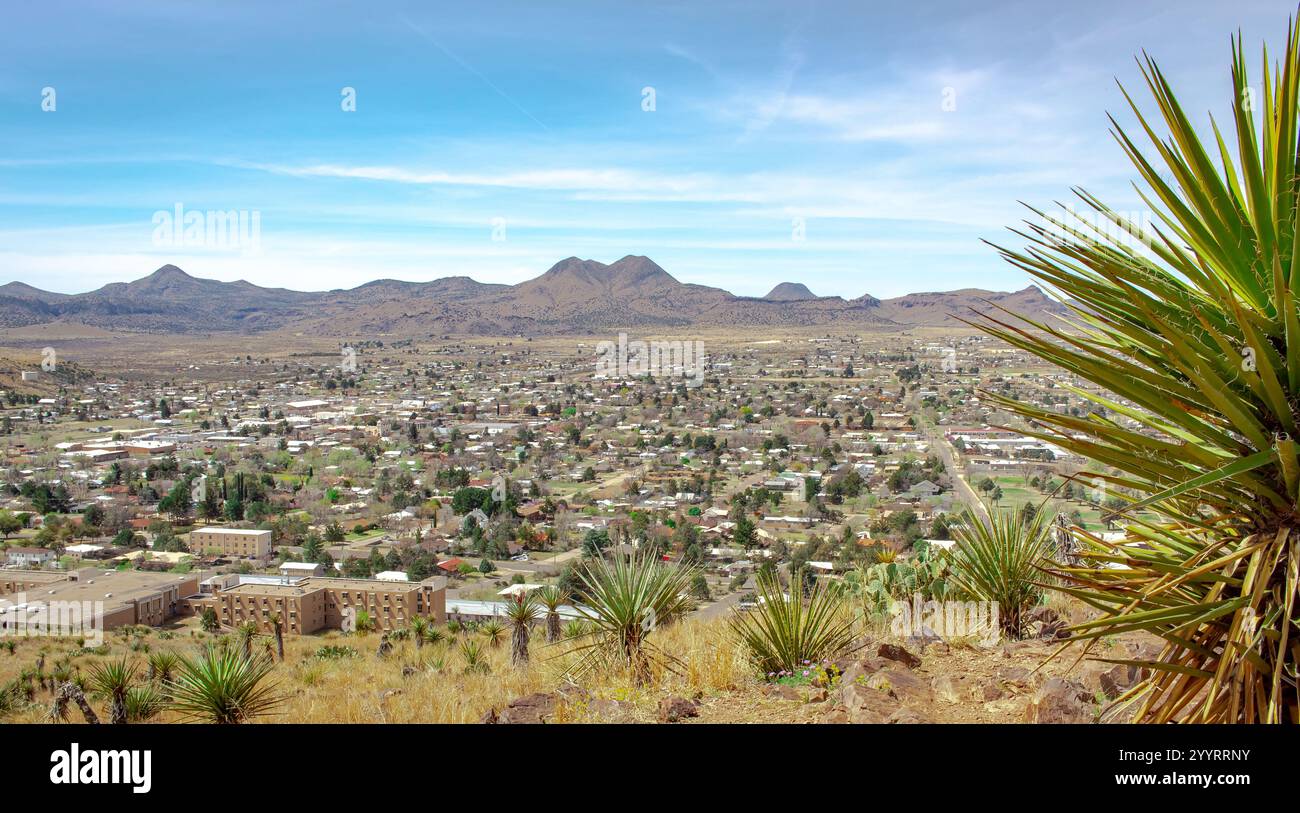 City palm grass field view of Alpine Texas in the southwest Texas ...