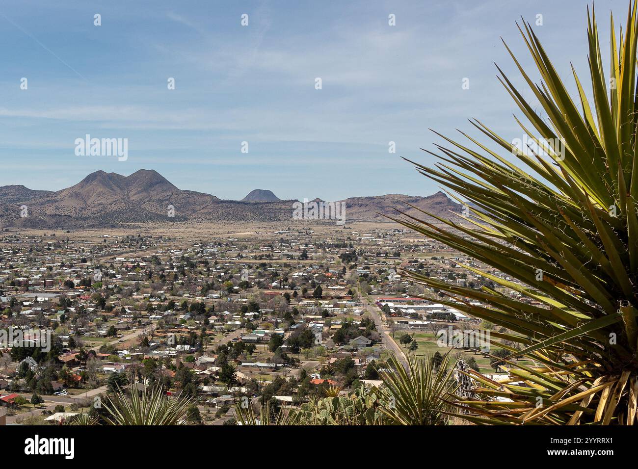 City palm grass field view of Alpine Texas in the southwest Texas ...