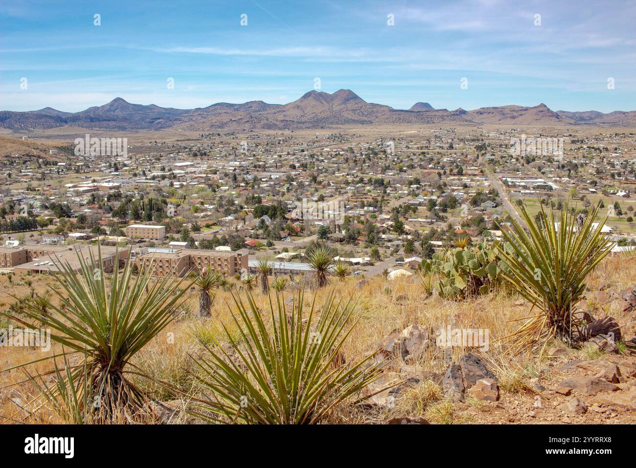 Alpiine hi-res stock photography and images - Alamy