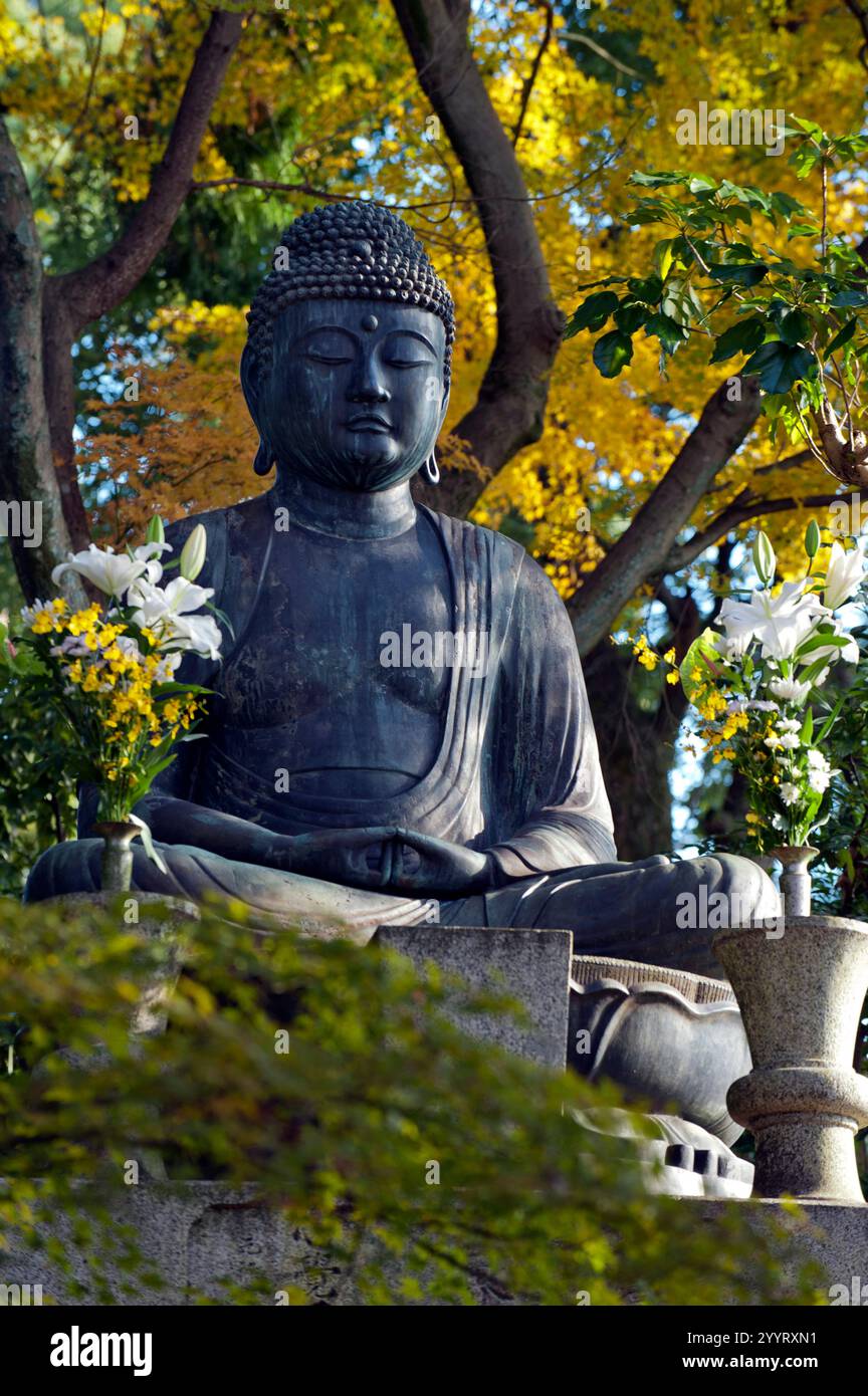 A peaceful meditating bronze Buddha statue in lotus position in the ...
