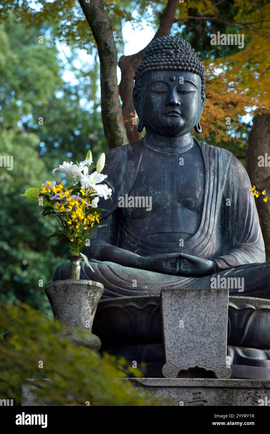A peaceful meditating bronze Buddha statue in lotus position in the ...