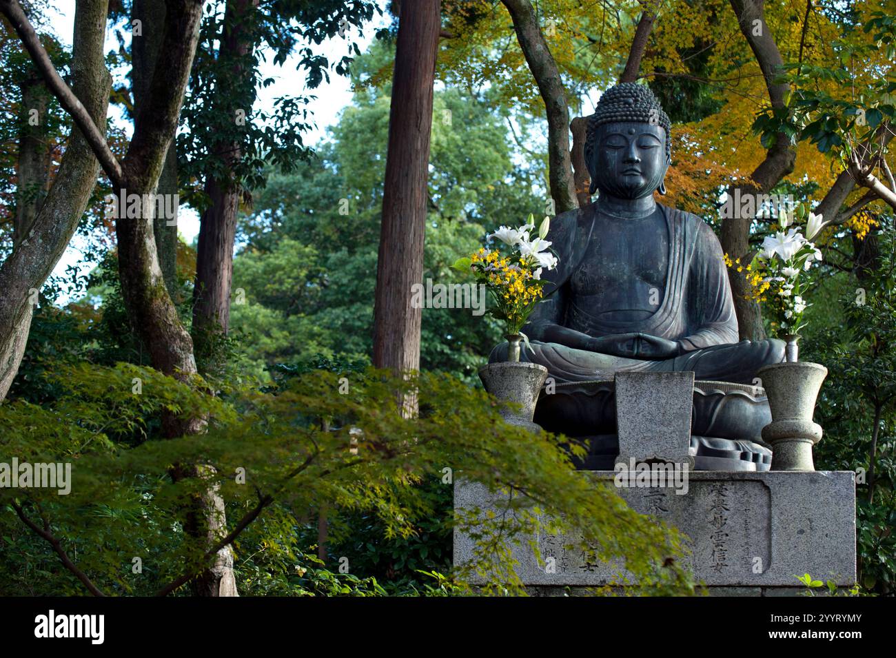 A peaceful meditating bronze Buddha statue in lotus position in the ...