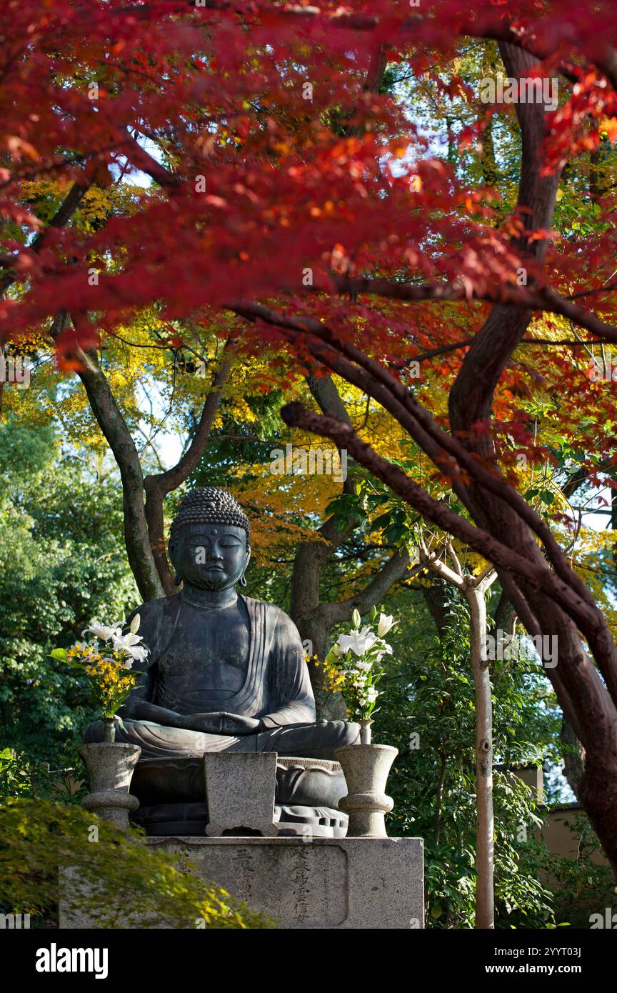 A peaceful meditating bronze Buddha statue in lotus position in the ...