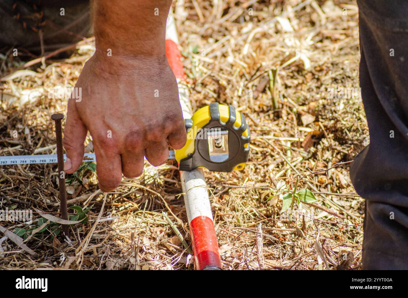 Archaeologist dig hi-res stock photography and images - Alamy