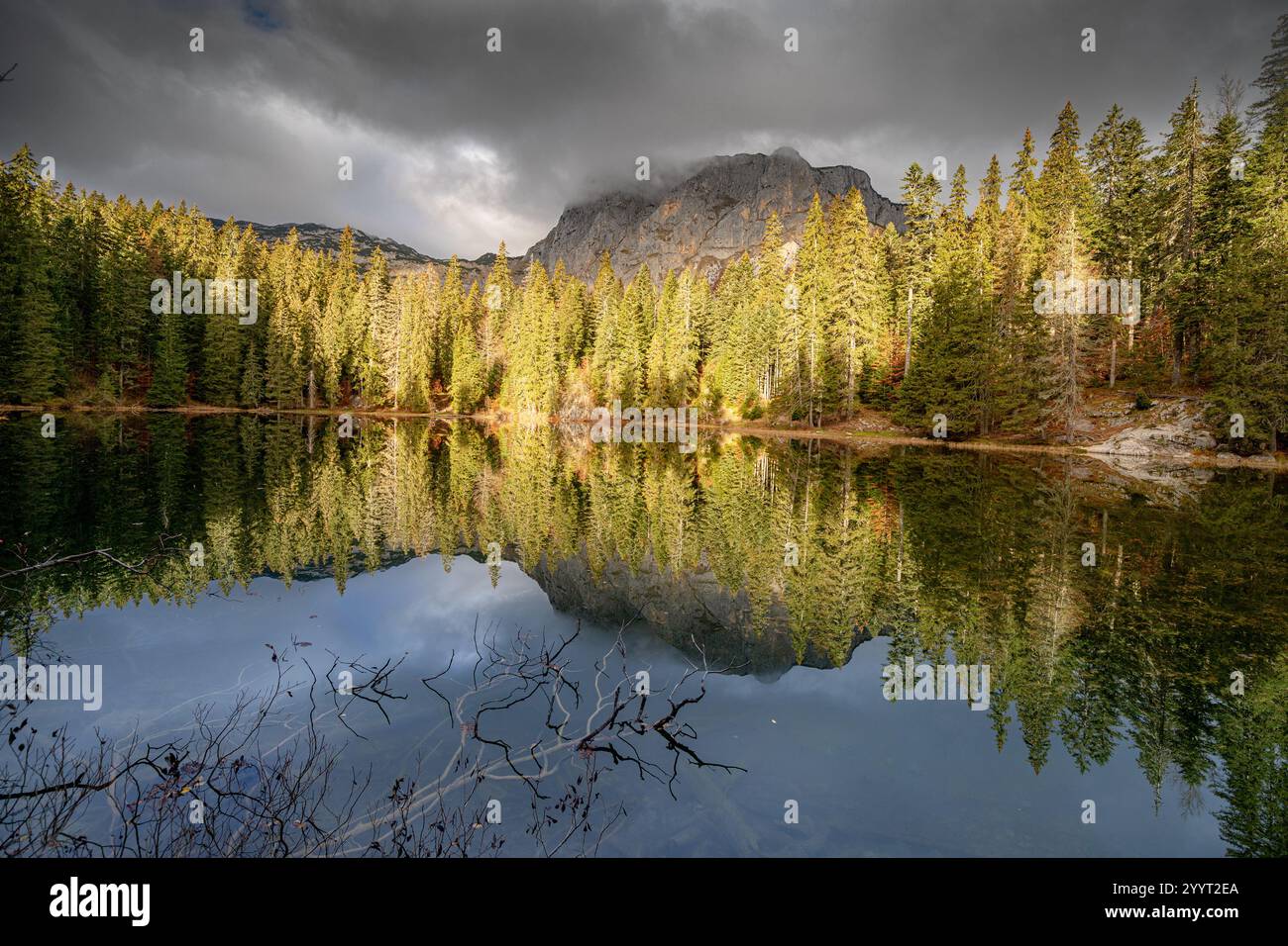 Coniferous forest with fall foliage mirrored in a calm lake under a ...
