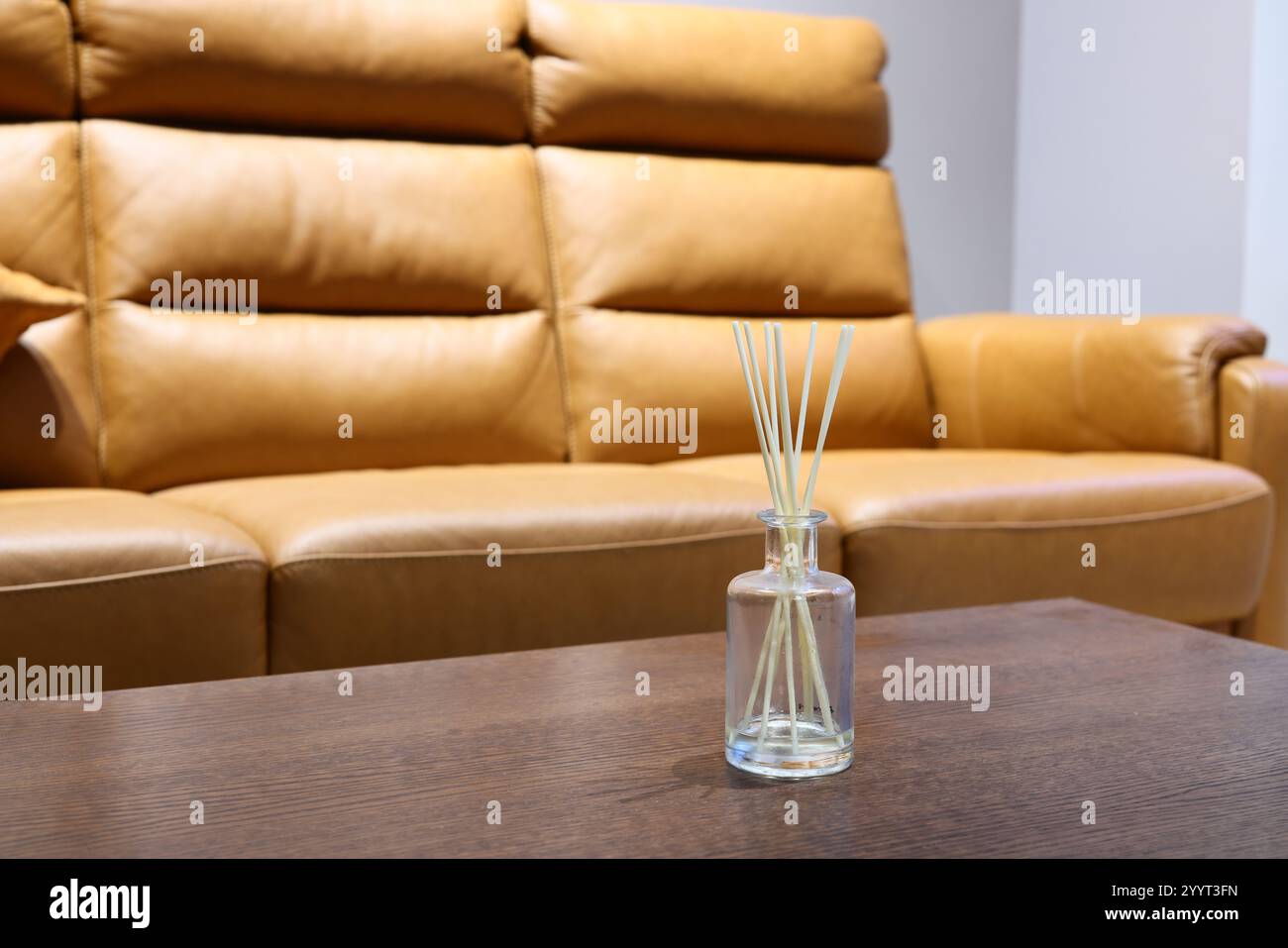 This stylish living room has a leather sofa and an elegant diffuser ...