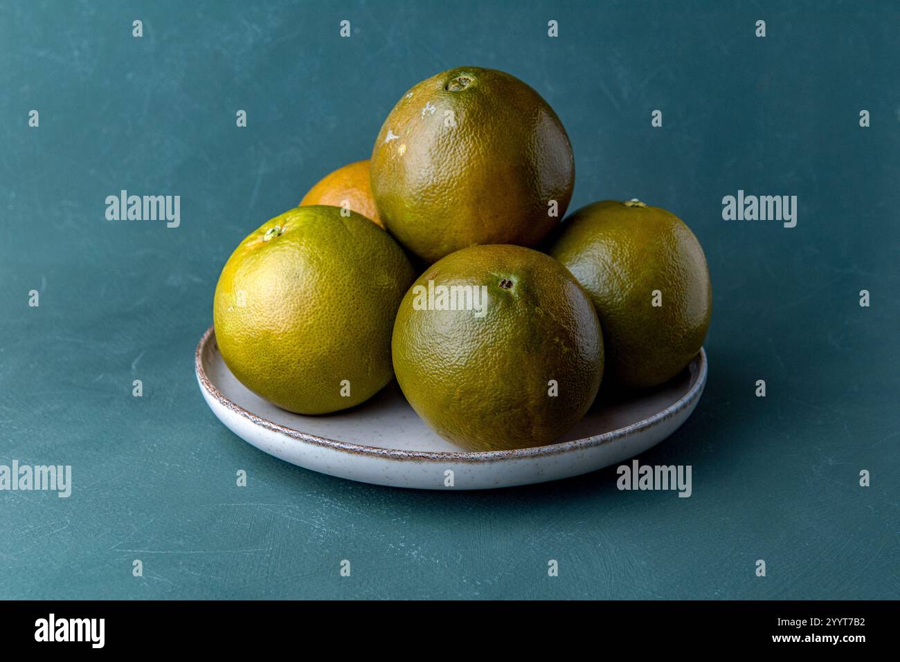 Navel Chocolate Oranges. Chocolate navel orange, also called chocolate ...