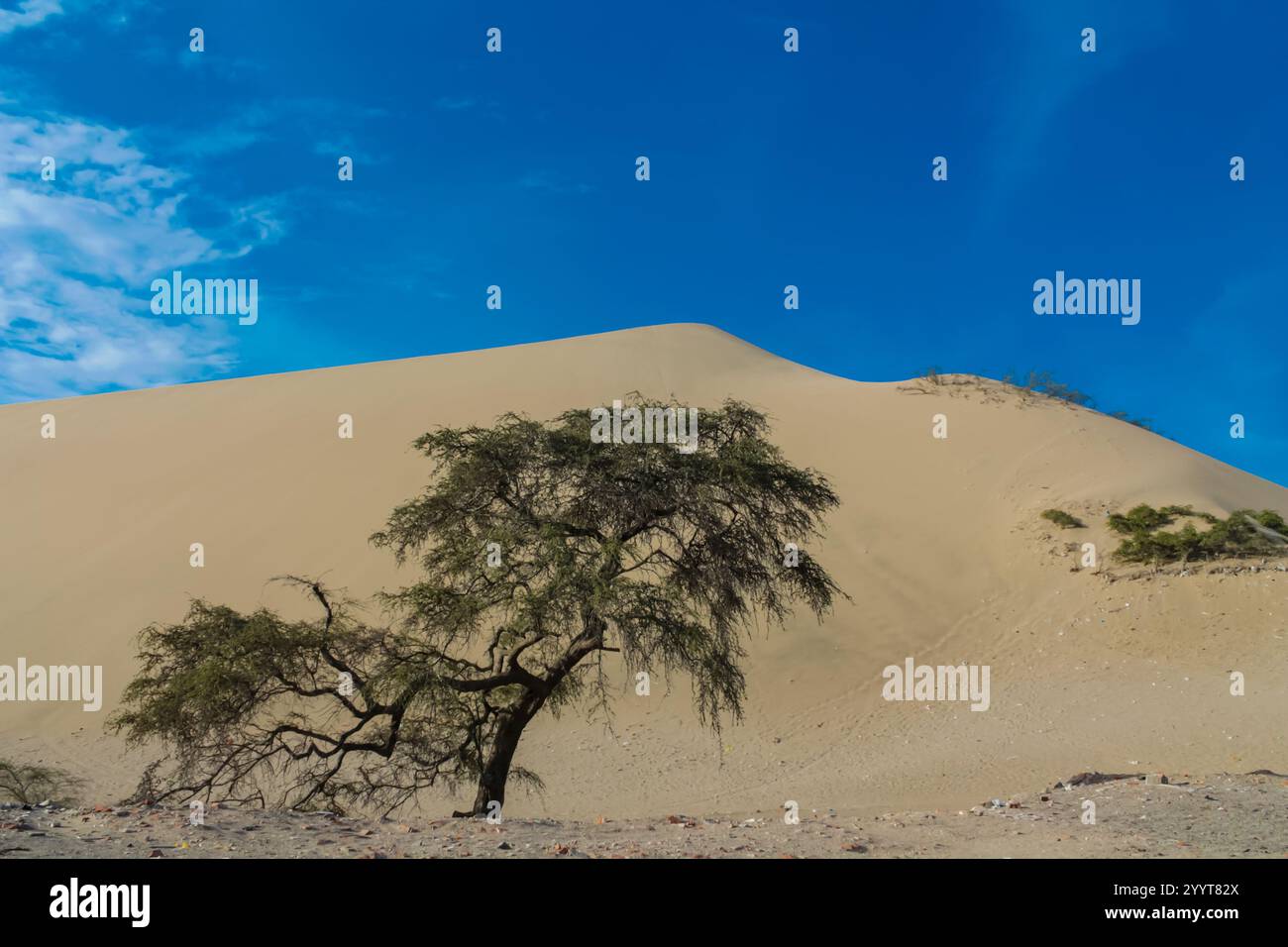 Huacachina oasis among the sand dunes dry desert in Peru. Peruvian ...