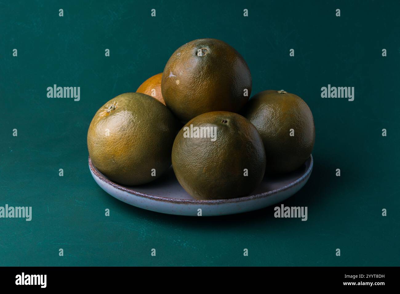 Navel Chocolate Oranges. Chocolate navel orange, also called chocolate ...