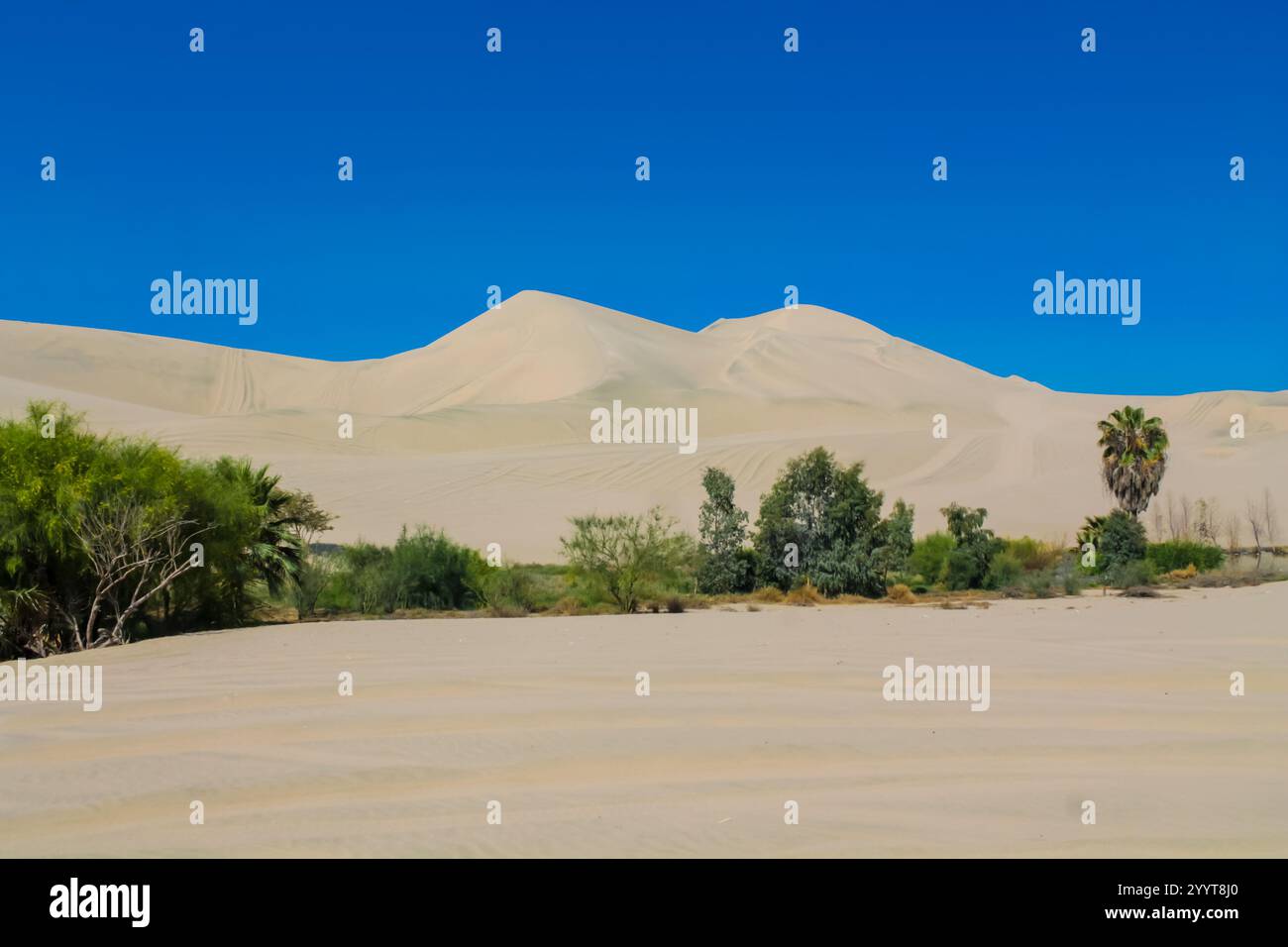 Huacachina oasis among the sand dunes dry desert in Peru. Peruvian ...
