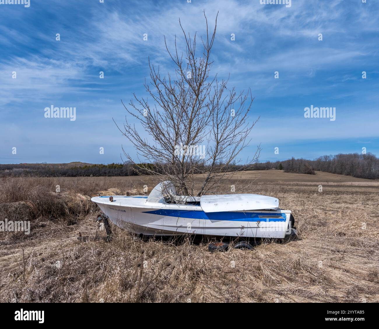 Tree growing on a boat hi-res stock photography and images - Alamy