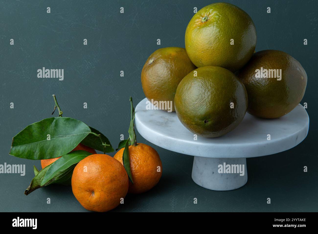 Navel Chocolate Oranges. Chocolate navel orange, also called chocolate ...