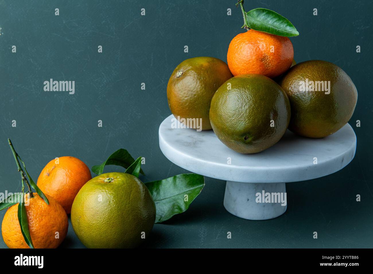 Navel Chocolate Oranges. Chocolate navel orange, also called chocolate ...