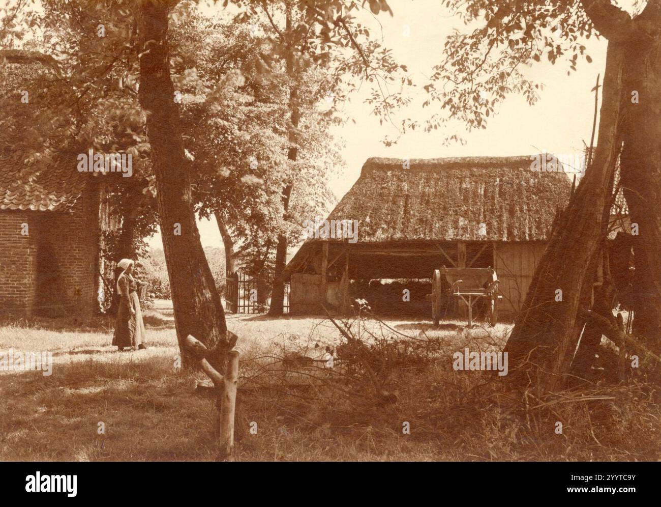 Door de bomen is een open schuur met een riet gedekt dak zichtbaar ...
