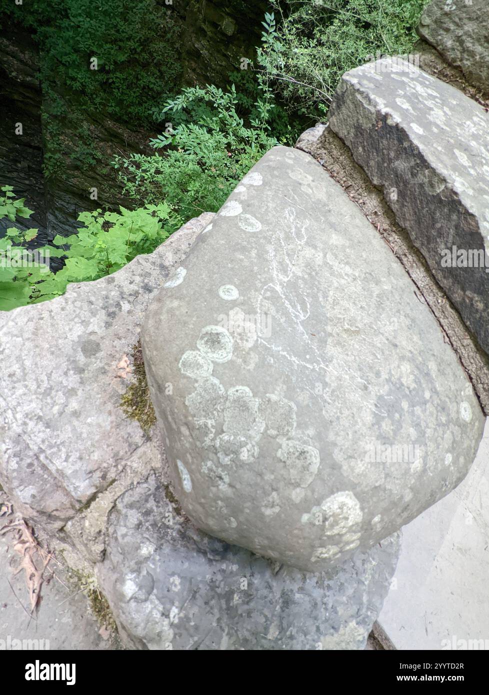 Concentric boulder lichen hi-res stock photography and images - Alamy