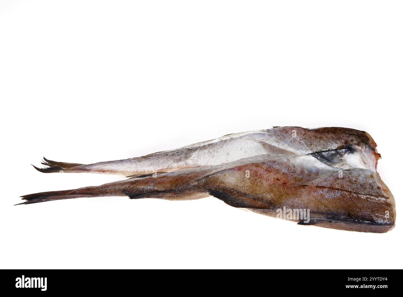 Cod isolated on a white background, fresh Stock Photo - Alamy