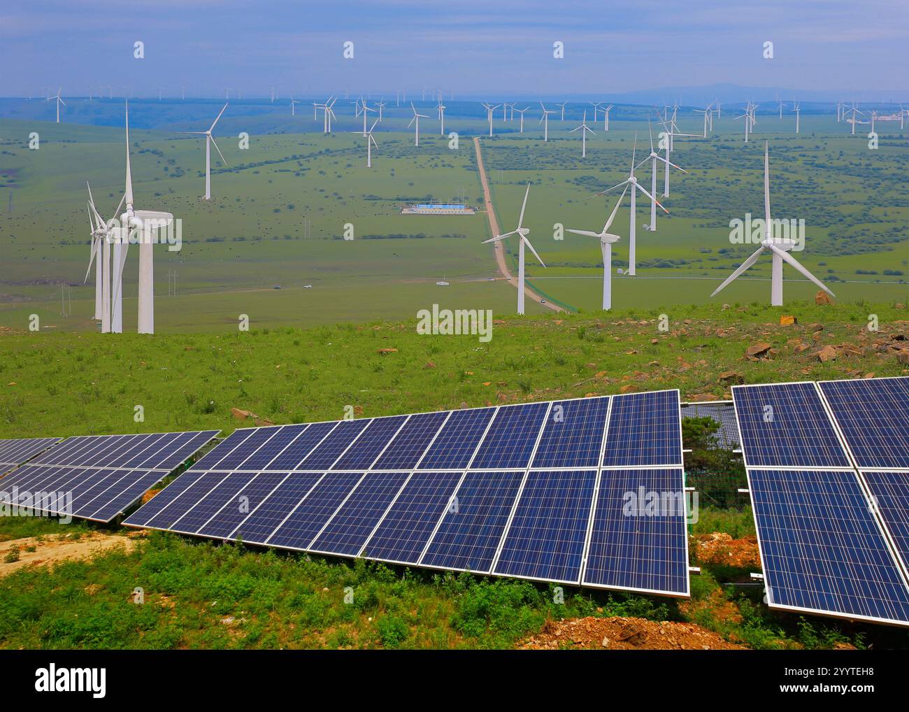 Solar photovoltaic panels and wind power generation are green, energy ...