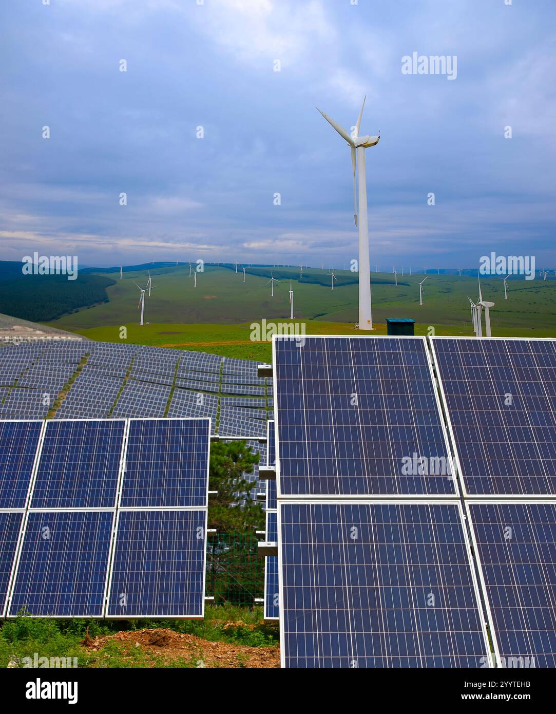 Solar photovoltaic panels and wind power generation are green, energy ...