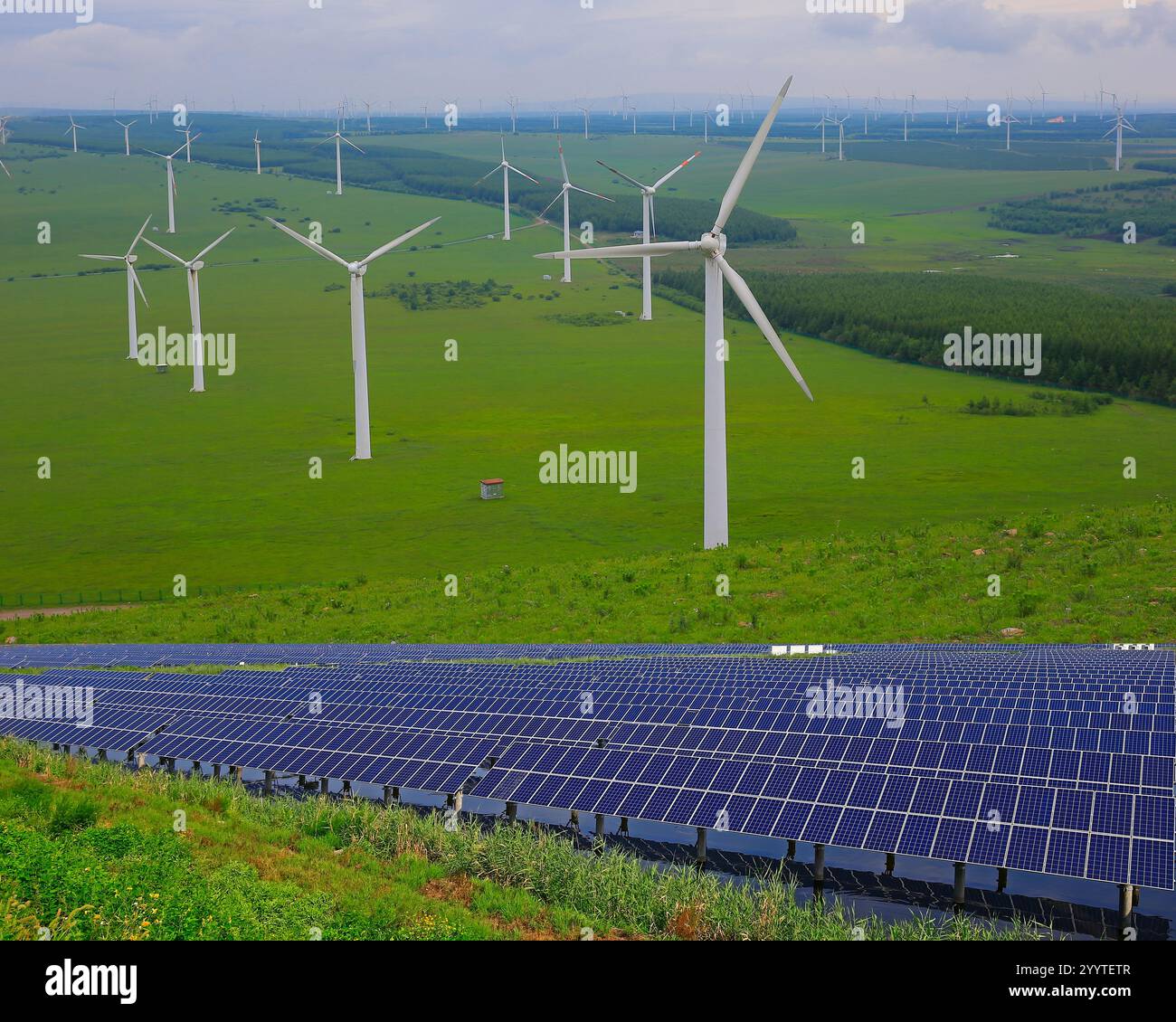 Solar photovoltaic panels and wind power generation are green, energy ...