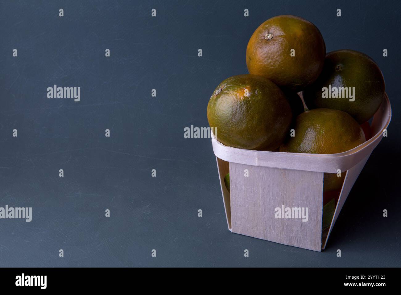 Navel Chocolate Oranges. Chocolate navel orange, also called chocolate ...