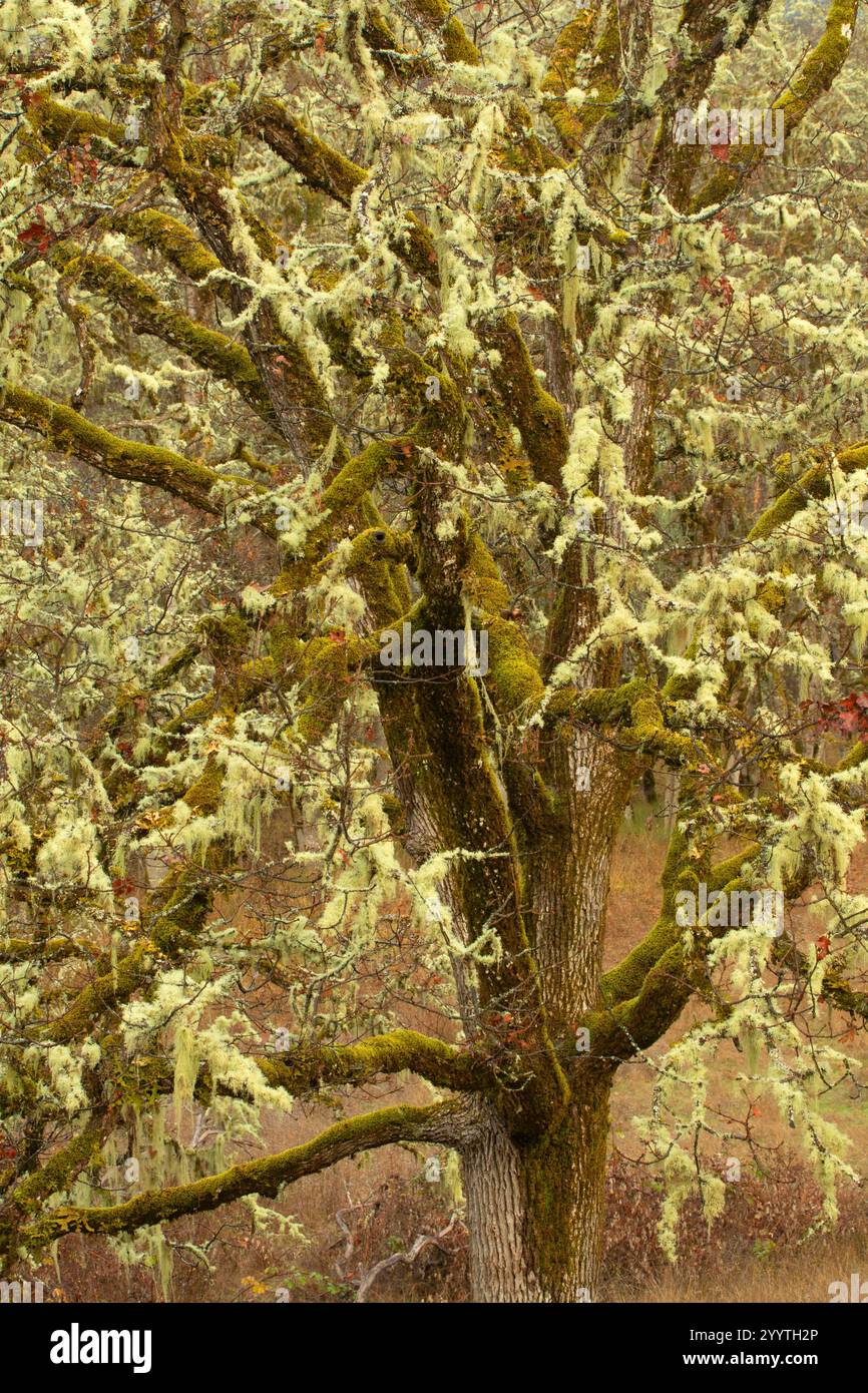 District management area hi-res stock photography and images - Alamy