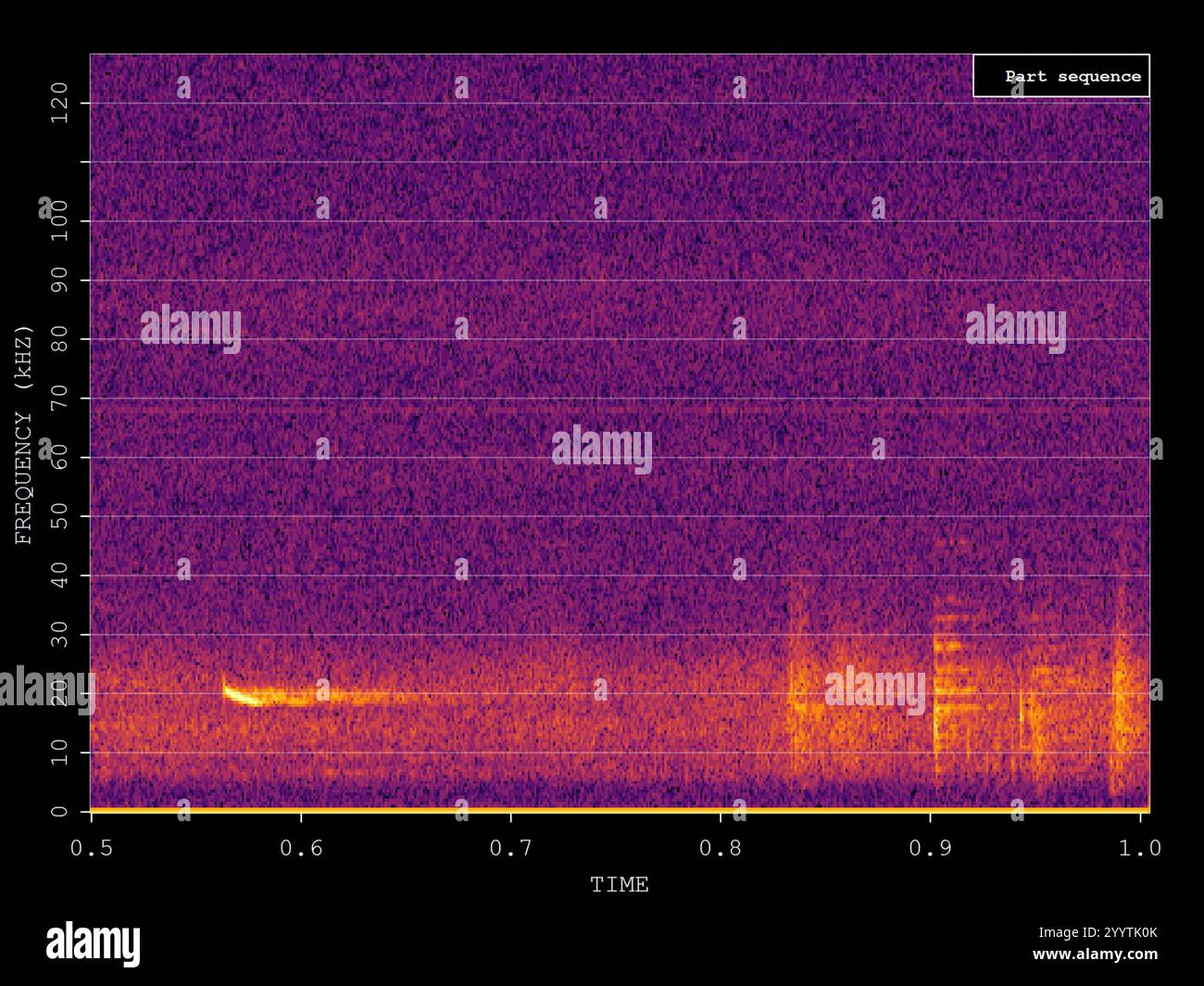 Common Noctule (Nyctalus noctula Stock Photo - Alamy