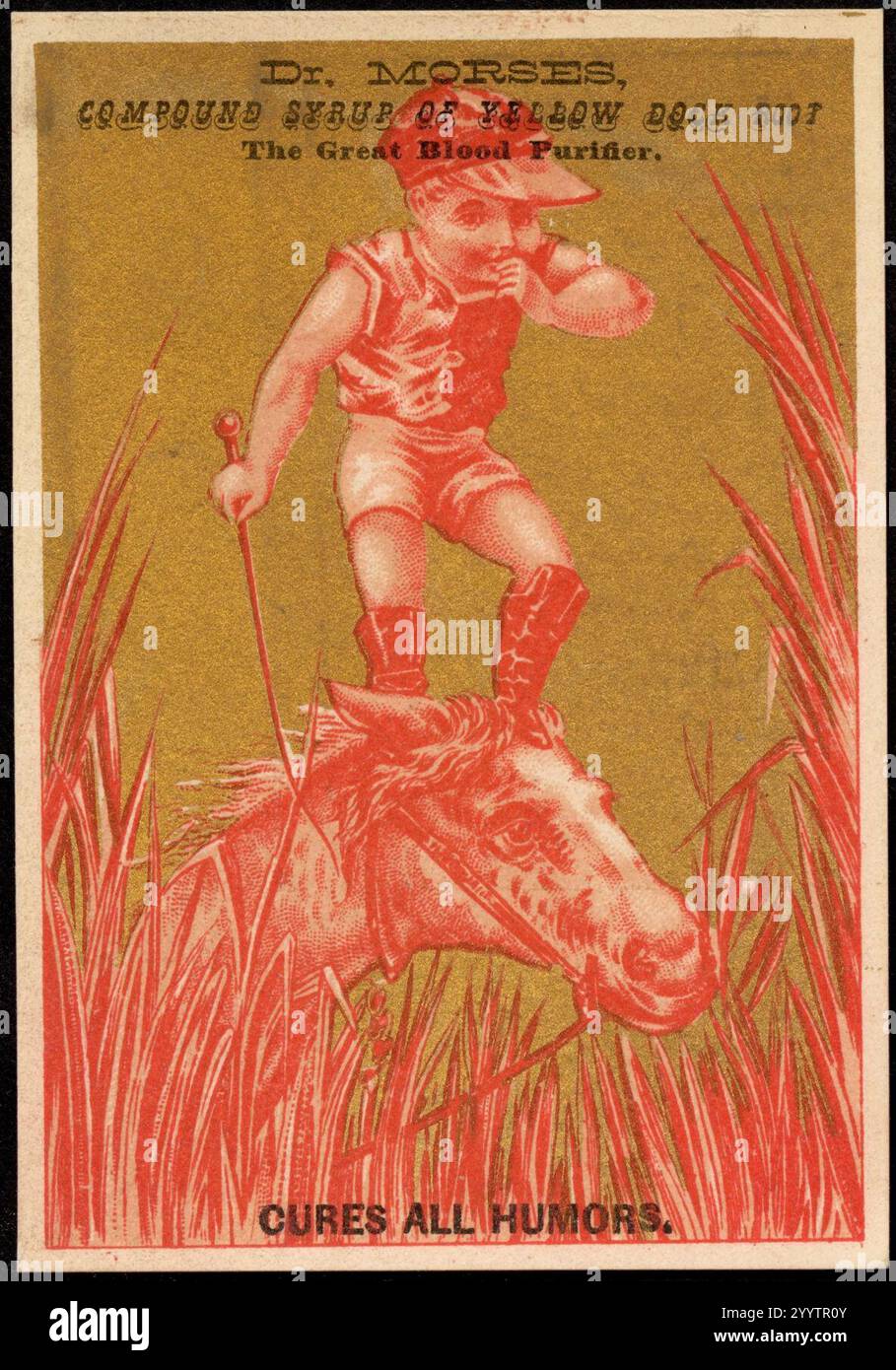 Dr. Morses, compound syrup of yellow dock foo, the great blood purifier ...