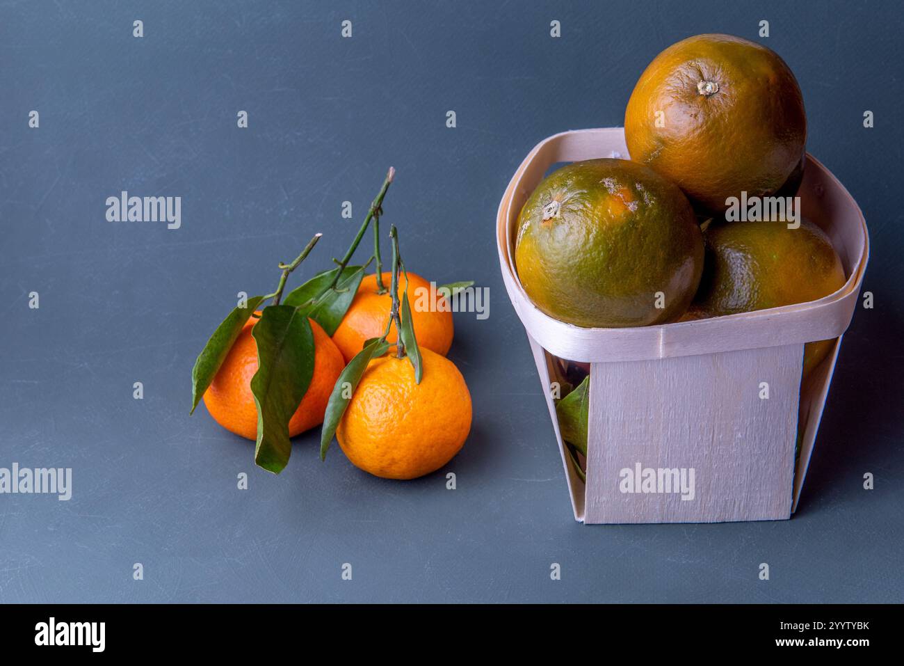 Navel Chocolate Oranges. Chocolate navel orange, also called chocolate ...