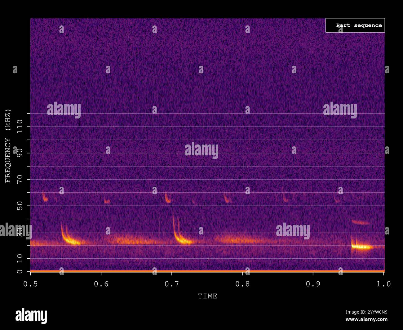 Common Noctule (Nyctalus noctula Stock Photo - Alamy
