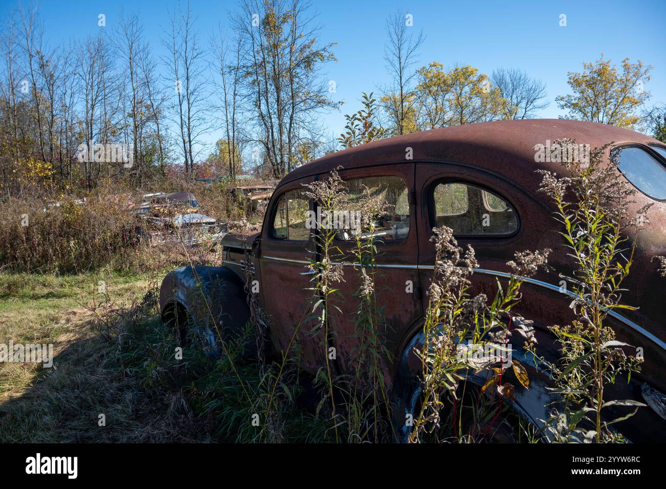 Scrap cars in field hi-res stock photography and images - Alamy