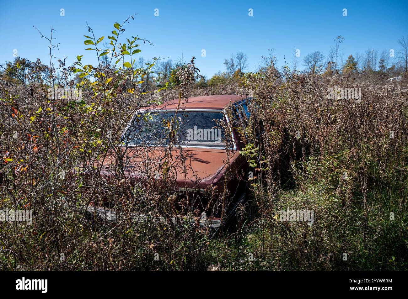 Kcar hi-res stock photography and images - Alamy