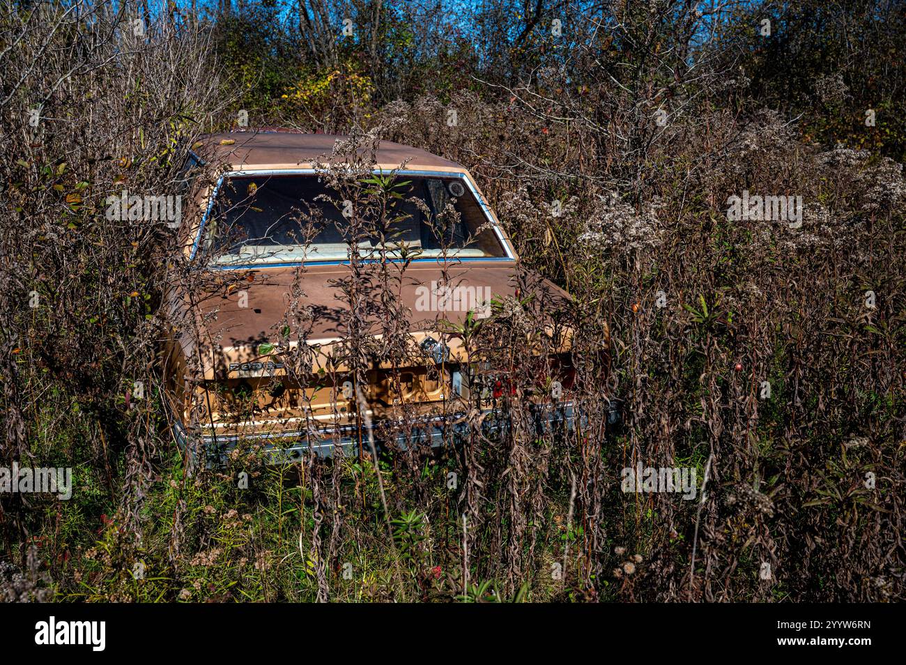 Classic american car abandoned in junk yard Stock Photo - Alamy