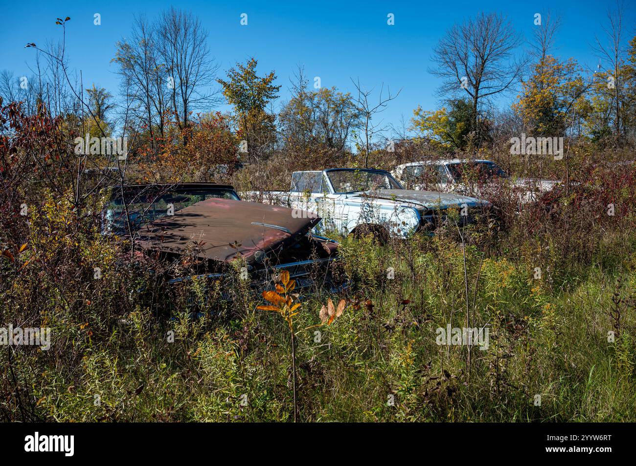 Old discarded abandoned cars hi-res stock photography and images - Alamy