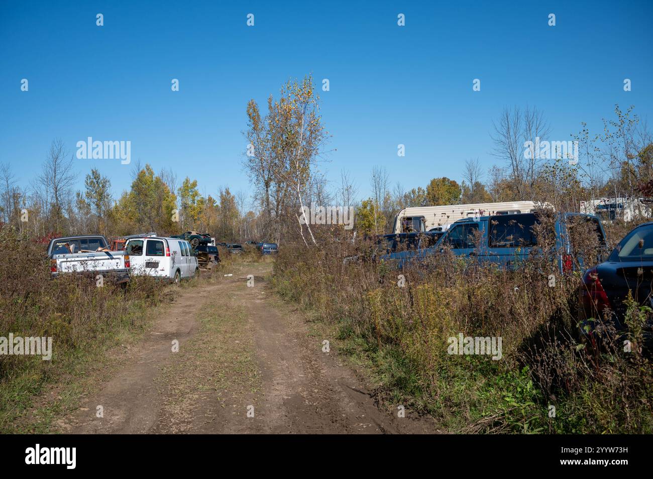 Old vehicles discarded along narrow path Stock Photo - Alamy