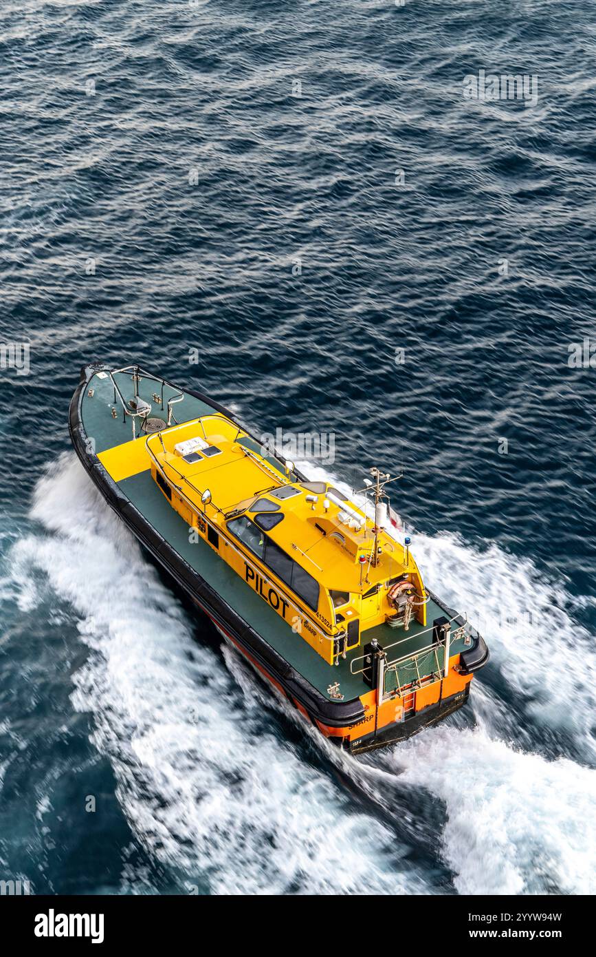 Aerial view of Pilot boat on Sydney harbor,NSW,Australia Stock Photo ...