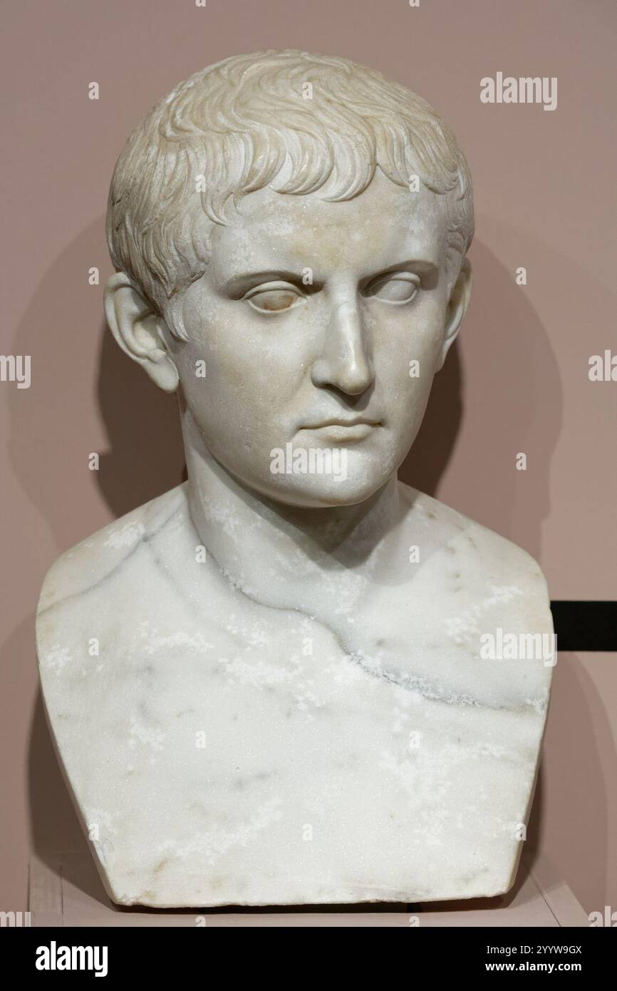 Drusus elder hi-res stock photography and images - Alamy