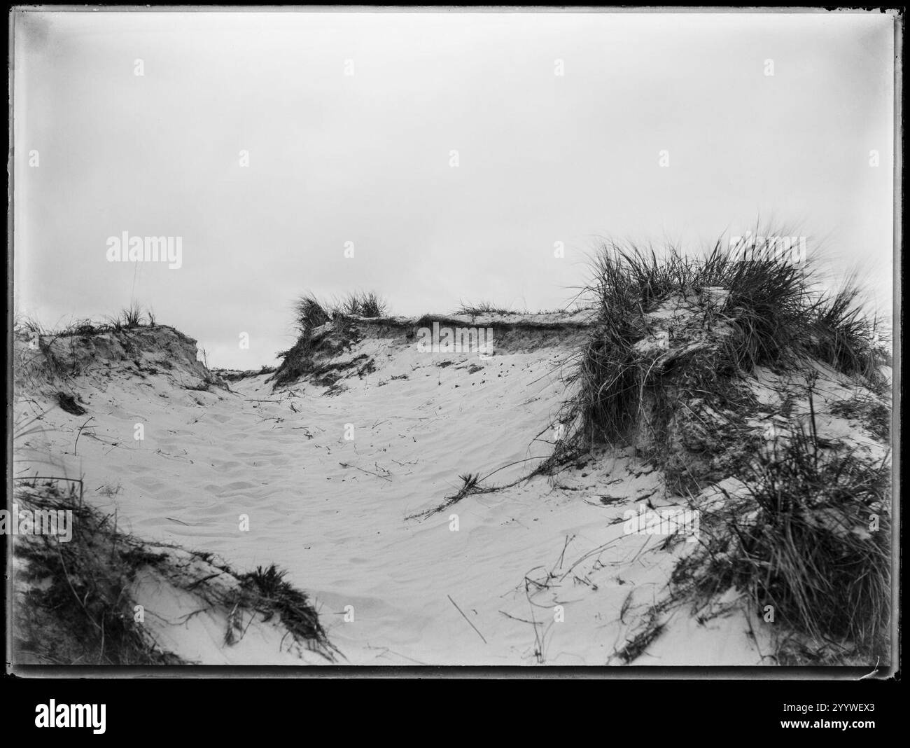 Duinlandschap, gebruikt als voorbeeld voor het diorama van Heimans in ...