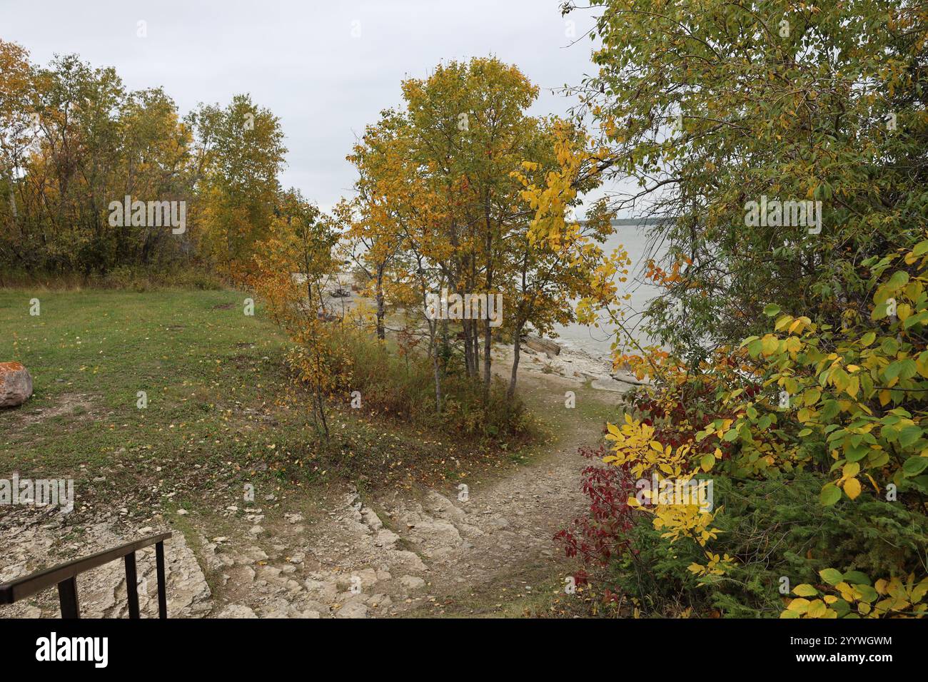 Pebble stone path walkway hi-res stock photography and images - Alamy