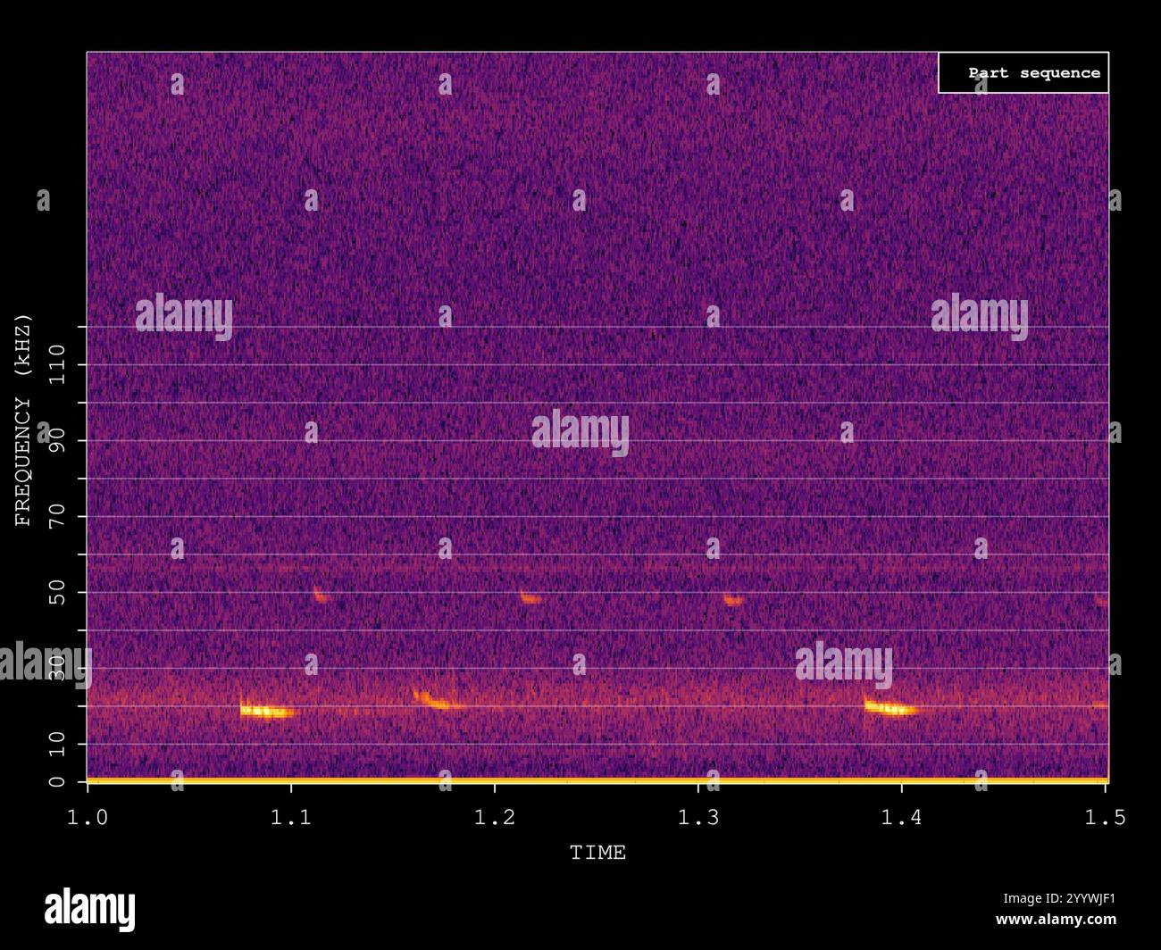 Common Noctule (Nyctalus noctula Stock Photo - Alamy