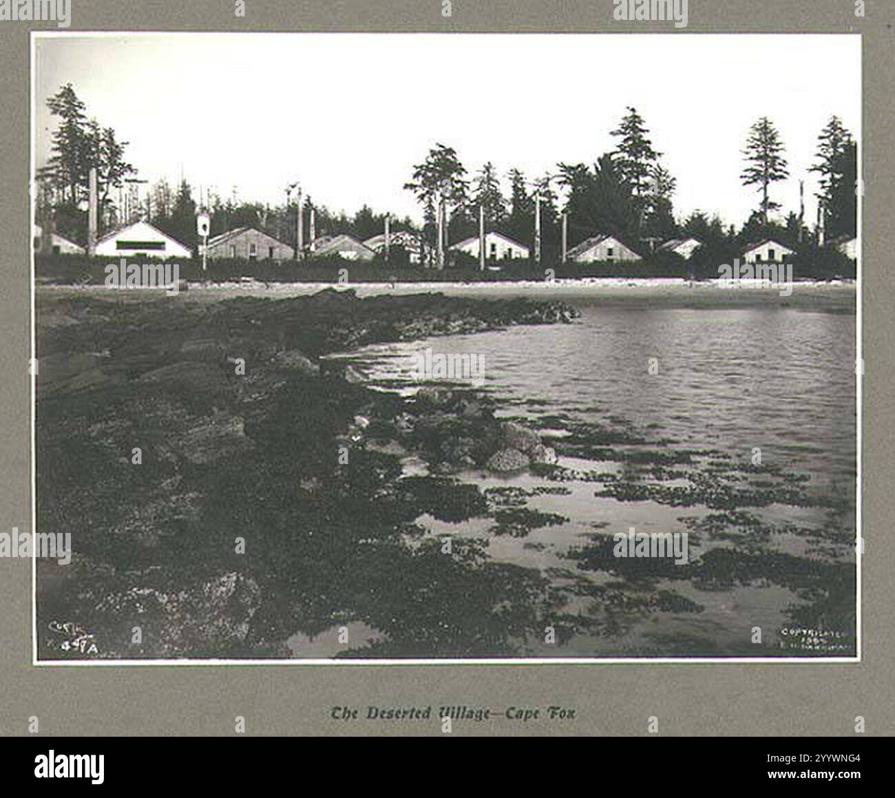 Dwellings and totem poles at a deserted Tlingit Indian village, Cape ...