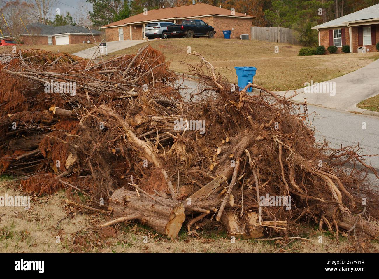Brush pile and tree limbs laying in brown grass beside the hilly street ...