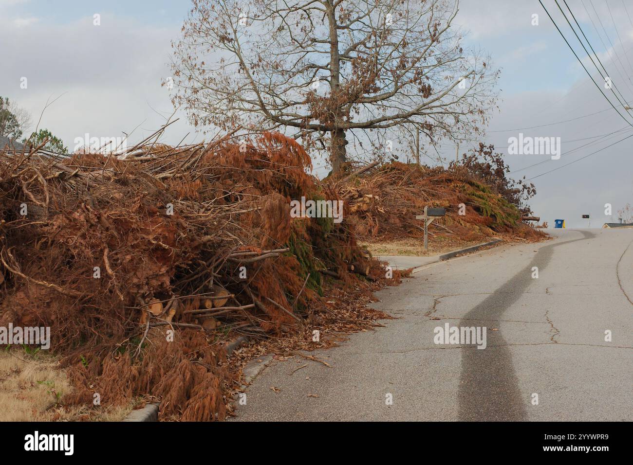 Brush pile and tree limbs laying in brown grass beside the hilly street ...