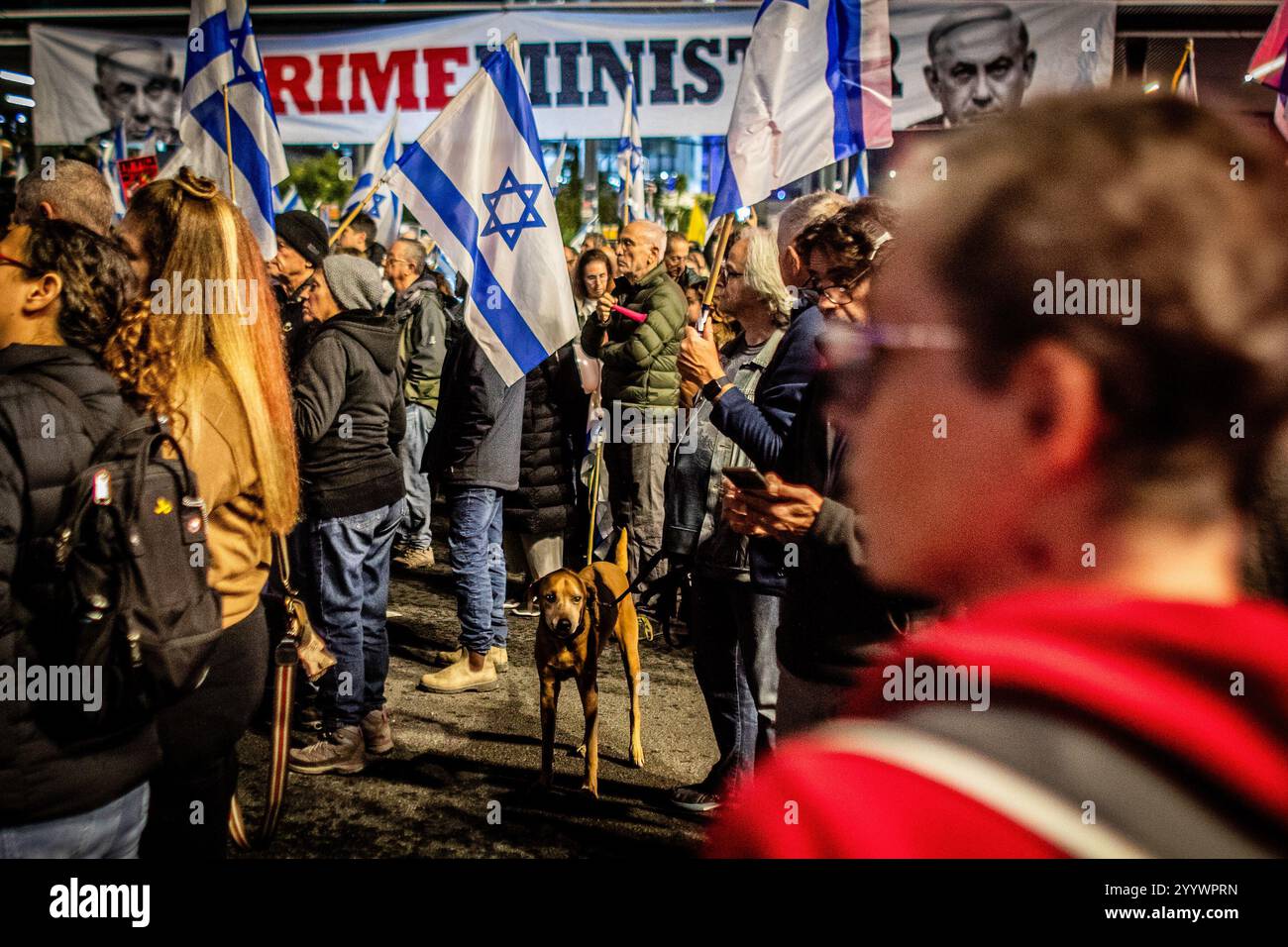 Tel Aviv, Israel. 21st Dec, 2024. A dog stands next to his owner during ...