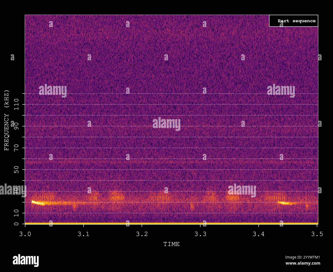 Common Noctule (Nyctalus noctula Stock Photo - Alamy