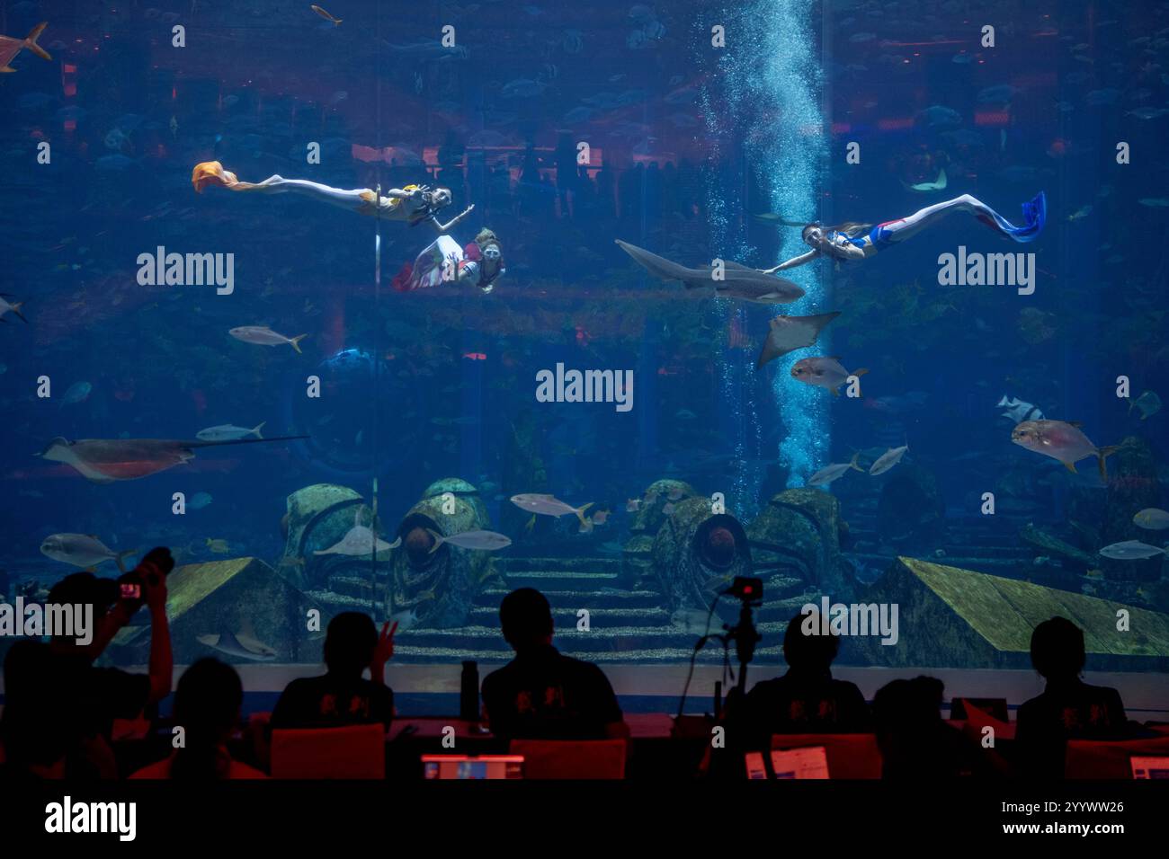 Sanya,China.12th December 2024. 2024 China Mermaid Open and Asian ...