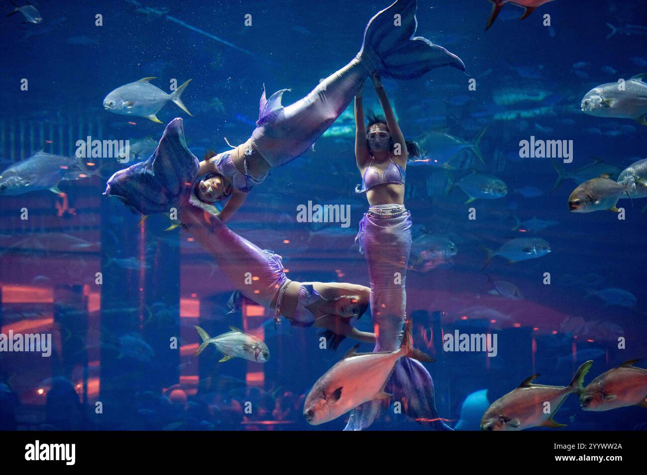 Sanya,China.12th December 2024. 2024 China Mermaid Open and Asian ...