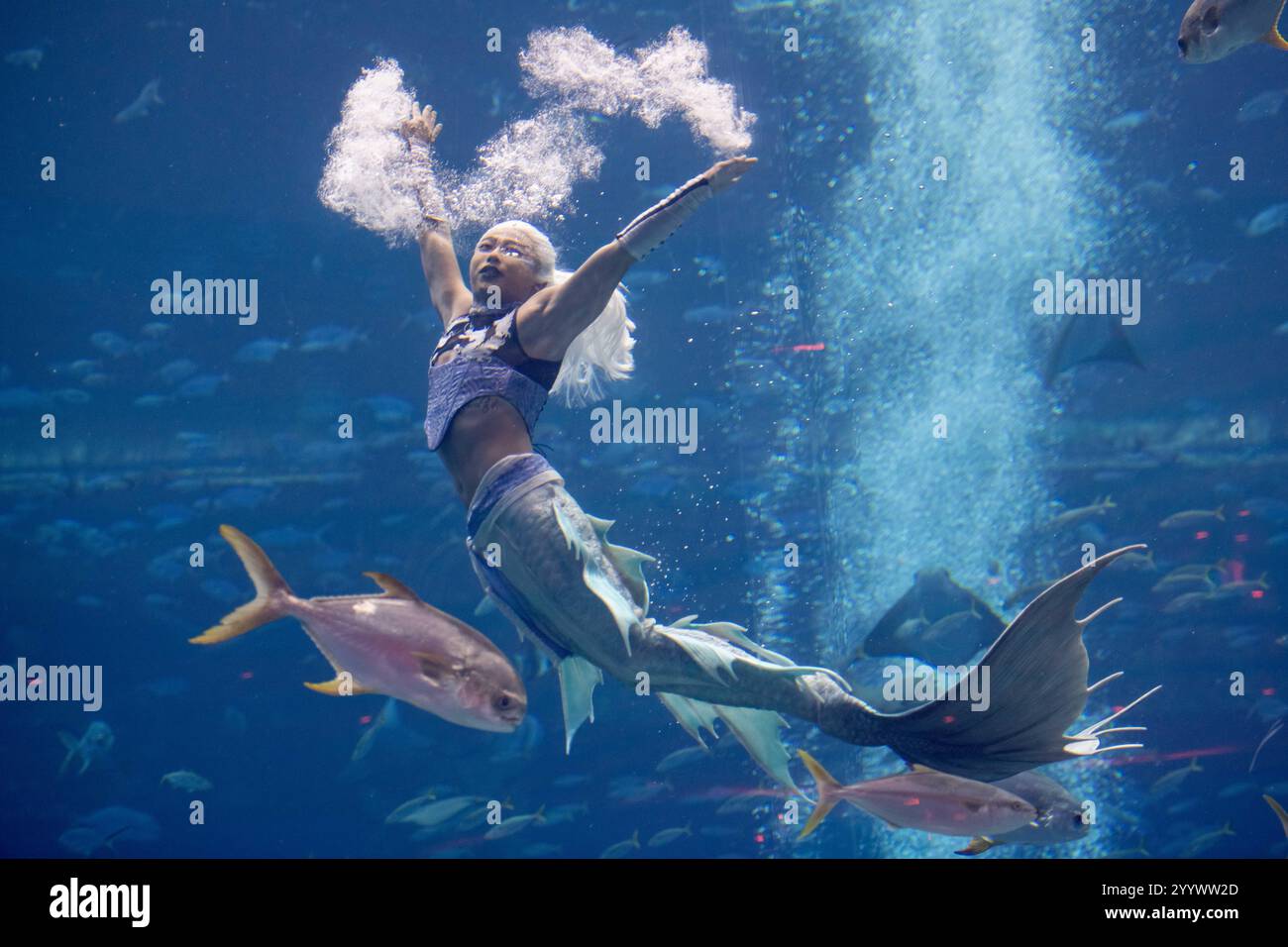 Sanya,China.12th December 2024. 2024 China Mermaid Open and Asian ...