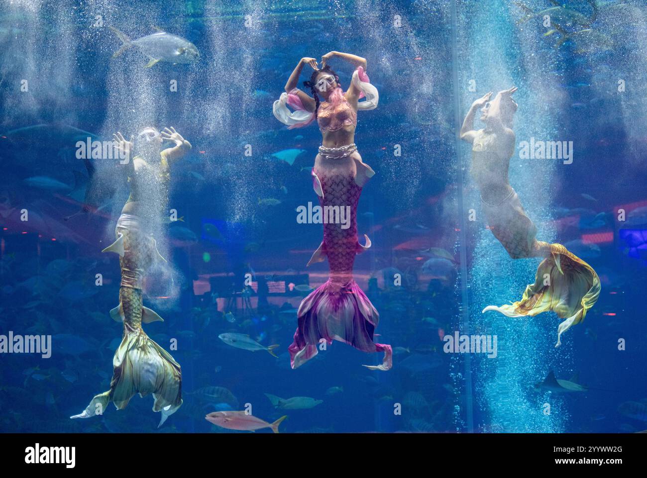 2024 china mermaid open hi-res stock photography and images - Alamy
