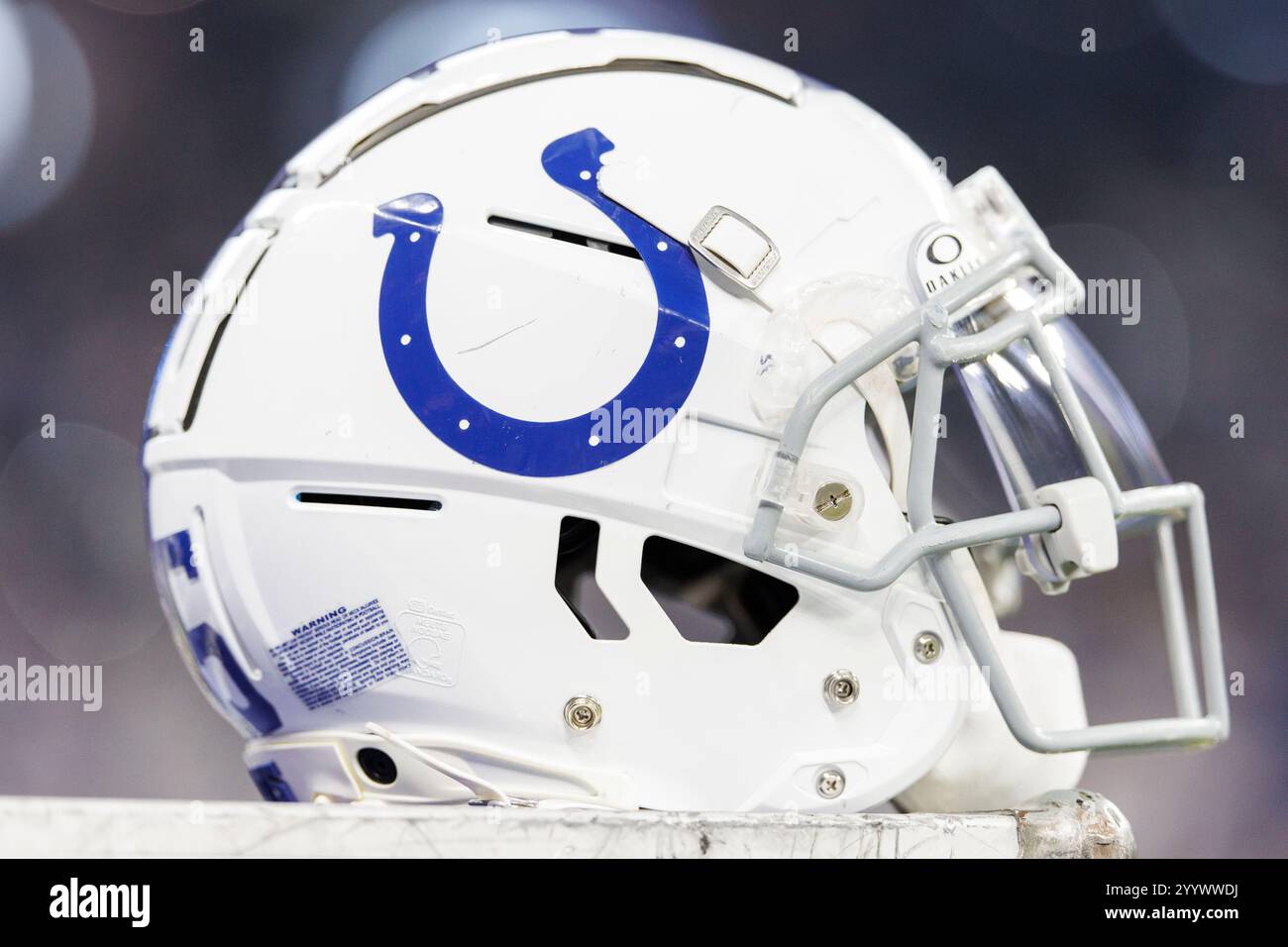 Indianapolis, Indiana, USA. 22nd Dec, 2024. A general view of ...