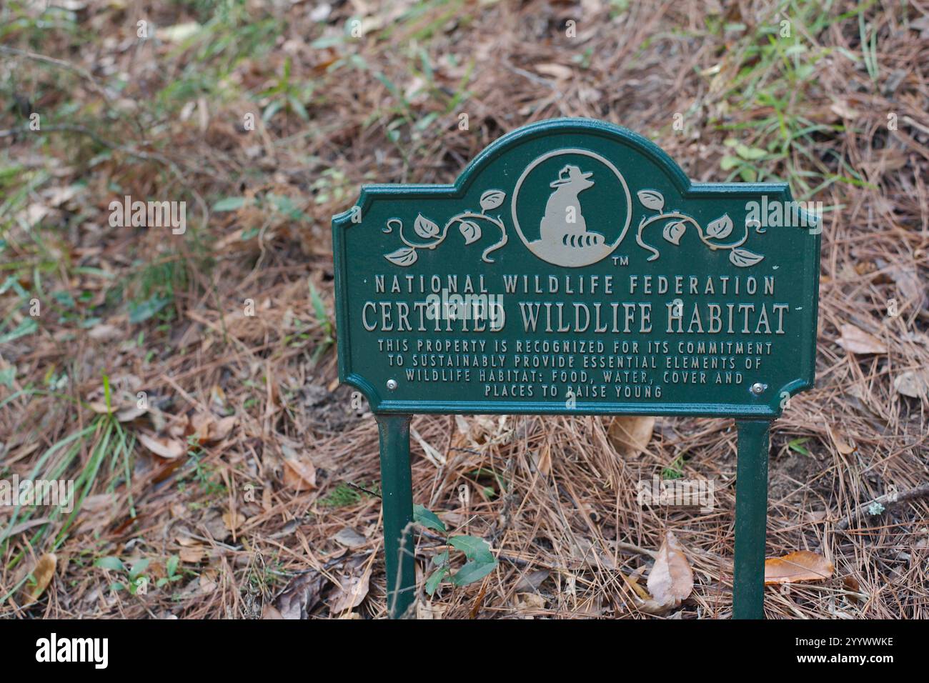 Editorial Use Only December 20, 2024. Williston, Florida, USA ...